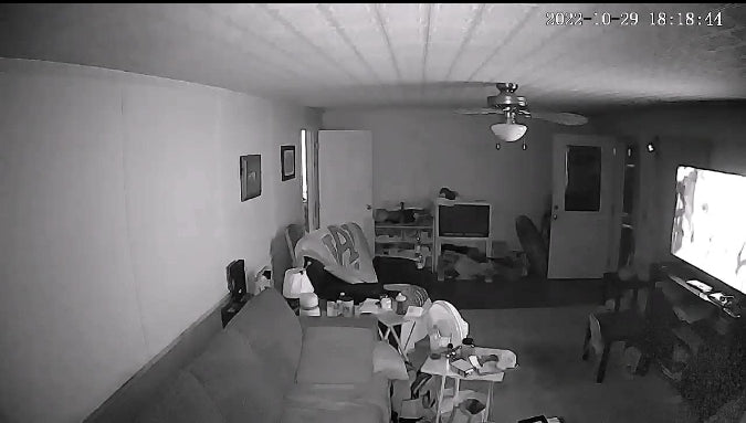 Javiscam | Best Mini Cameras